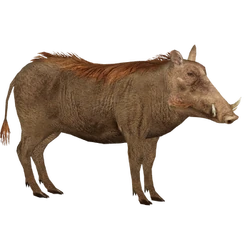 If the Pleistocene Extinction never happened (Africa) | Novum Terram ...