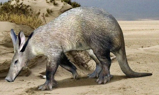 Leptorycteropus (SciiFii) | Novum Terram Wiki | Fandom