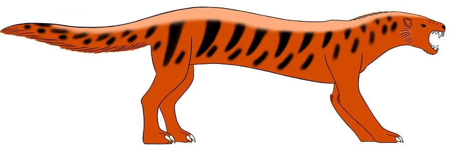 Orange-backed panther badger (Sciifii) | Novum Terram Wiki | Fandom