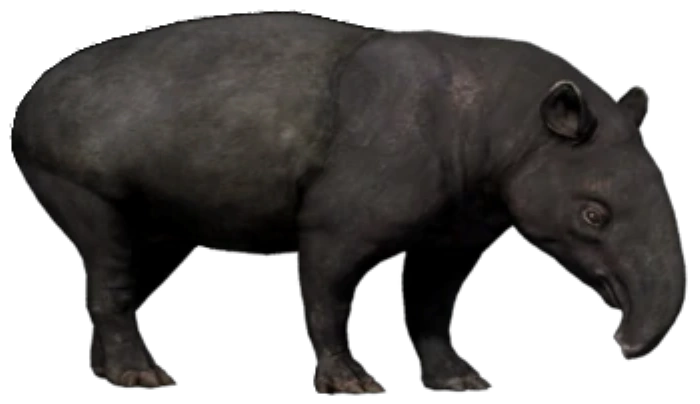 Skull Island tapir (Skull Island Reimagined) | Novum Terram Wiki | Fandom