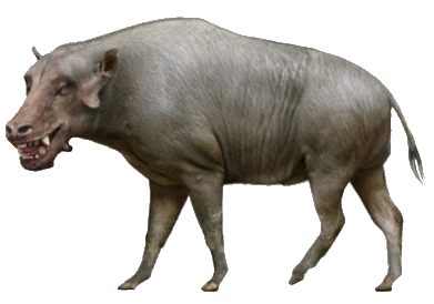 Entelodon