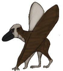 Flying Dylanus | Novum Terram Wiki | Fandom