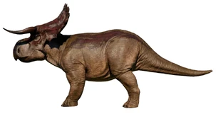 Nasutoceratops V4 (Project Apex) | Novum Terram Wiki | Fandom