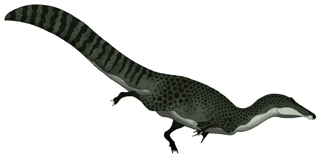 Sigilmassasaurus (SciiFii) | Novum Terram Wiki | Fandom