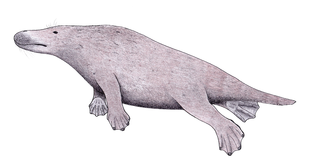 Rodhocetus Sciifii Novum Terram Wiki Fandom