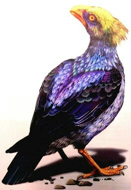 Clown Protobird | Novum Terram Wiki | Fandom