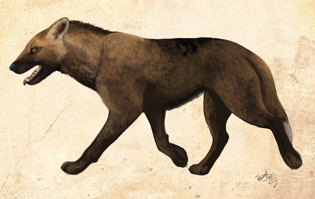 Andean hunting dog (SciiFii) | Novum Terram Wiki | Fandom