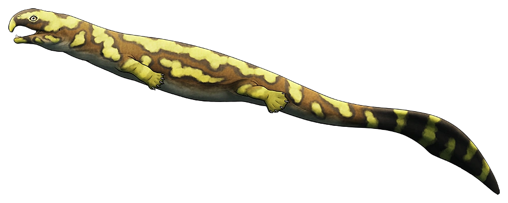 Hescheleria (SciiFii) | Novum Terram Wiki | Fandom