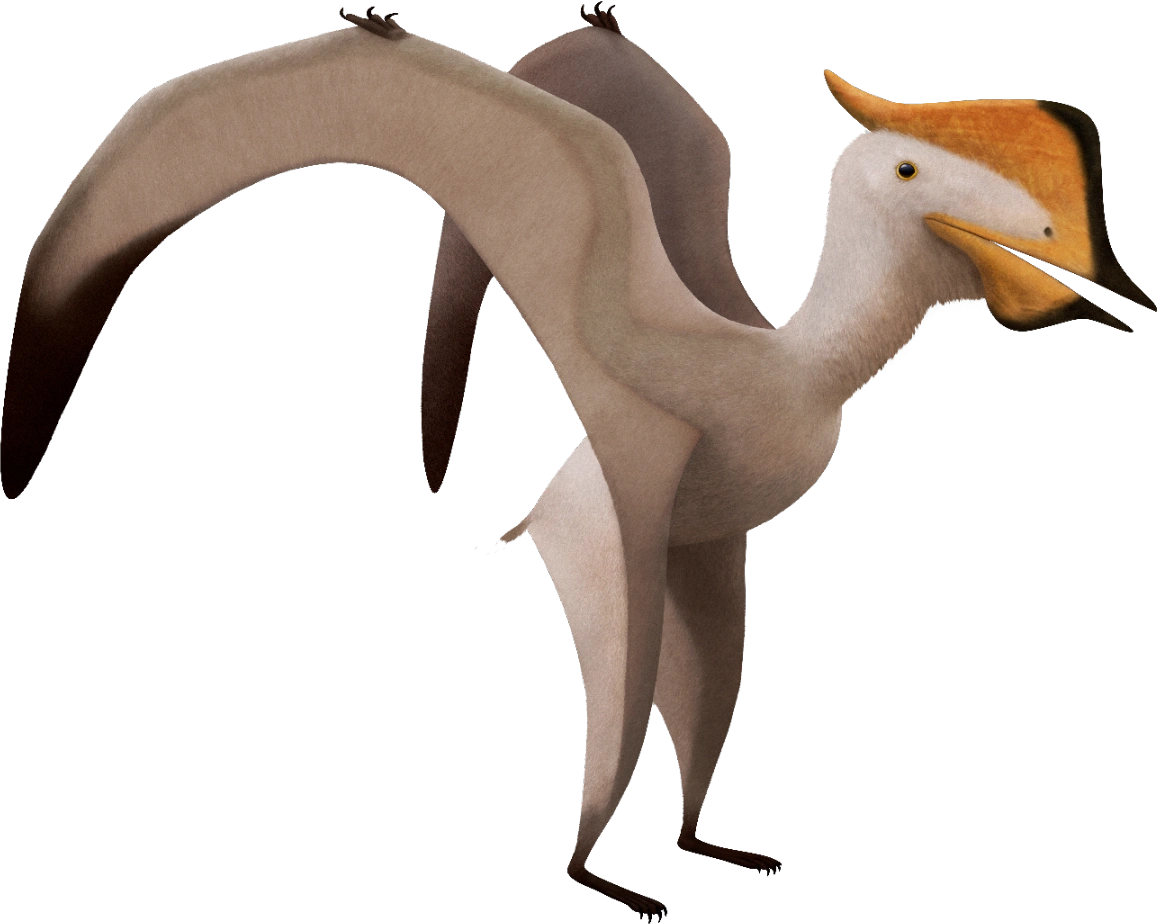 Sinopterus (SciiFii) | Novum Terram Wiki | Fandom