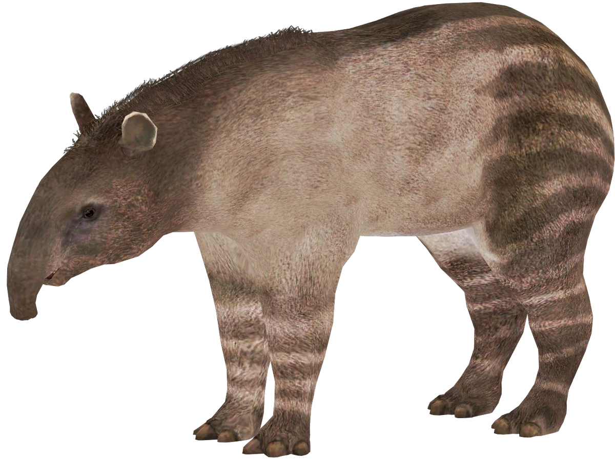 Zebra tapir (SciiFii) | Novum Terram Wiki | Fandom