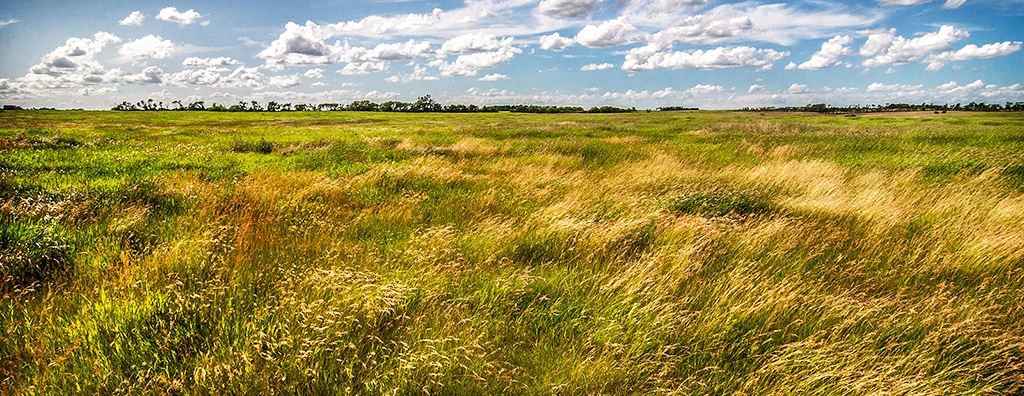 Alpine Island | Novum Terram Wiki | Fandom
