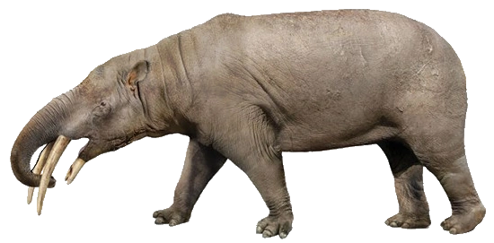 Granastrapotherium (SciiFii) | Novum Terram Wiki | Fandom