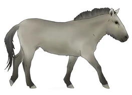 Tarpan (Planet X933) | Novum Terram Wiki | Fandom