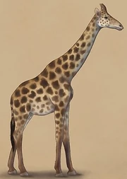 Bohlinia (SciiFii) | Novum Terram Wiki | Fandom