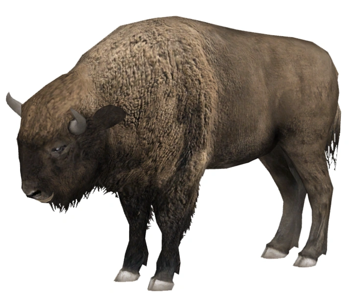Hyrcanian bison (Project Apex) | Novum Terram Wiki | Fandom