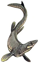 Haasiasaurus (SciiFii) | Novum Terram Wiki | Fandom