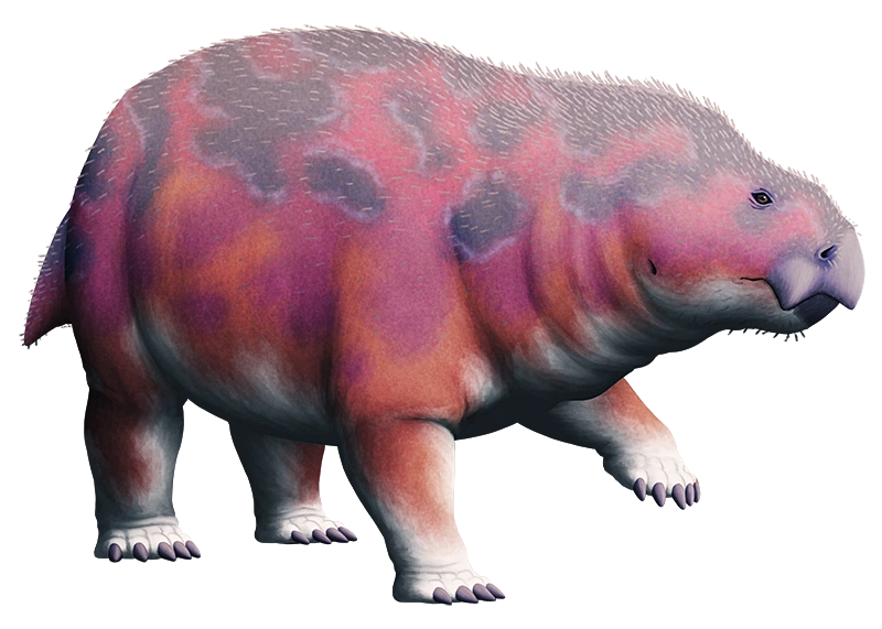 Lisowicia (SciiFii) | Novum Terram Wiki | Fandom