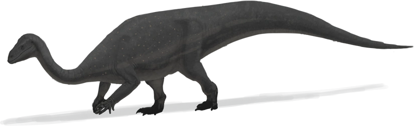 Mussaurus | Novum Terram Wiki | Fandom