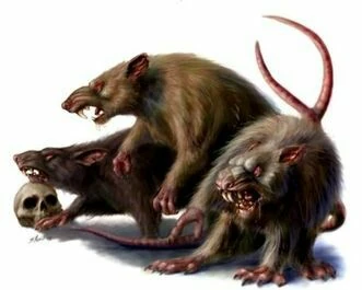 Giant Rat | Novum Terram Wiki | Fandom