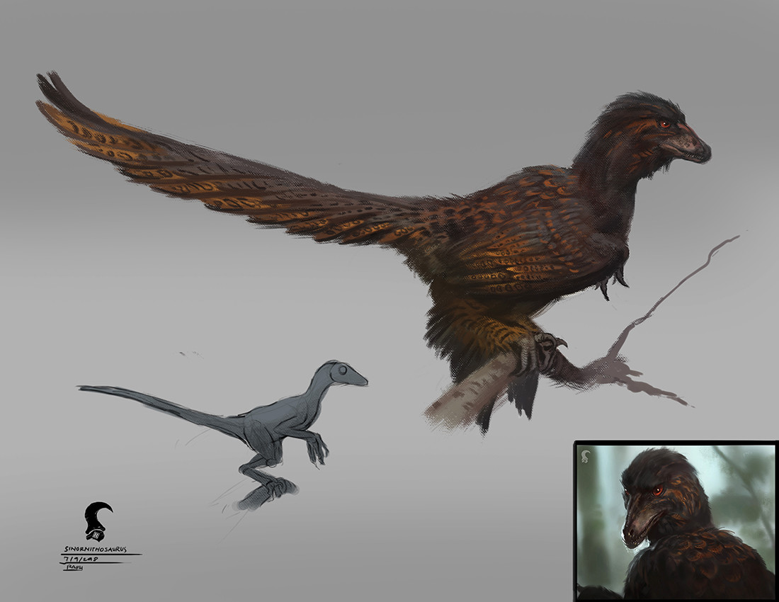 Sinornithosaurus V1 Dino World Novum Terram Wiki Fandom