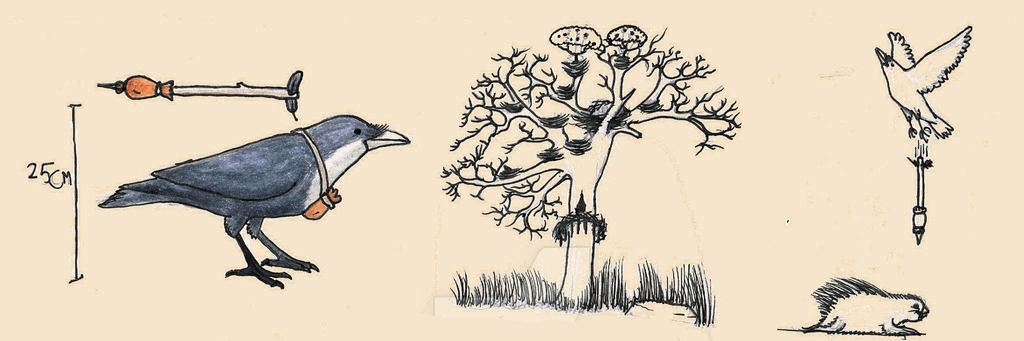 Sapient Crow | Novum Terram Wiki | Fandom