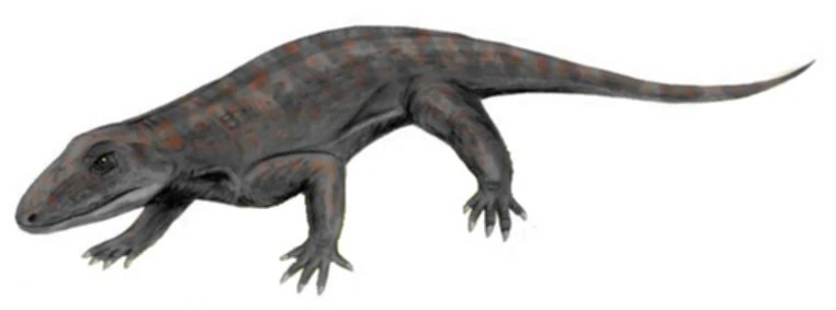 Varanops