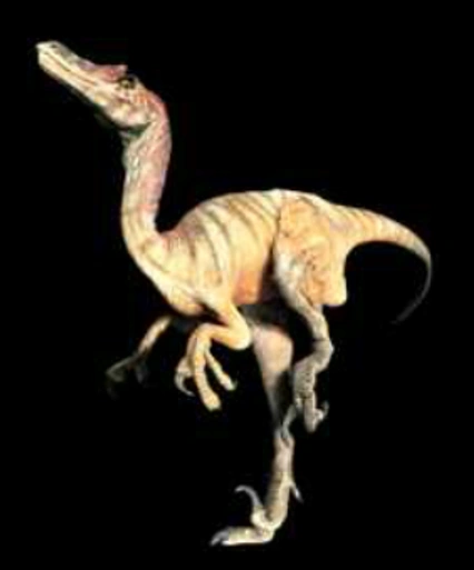 Velociraptor V1 (Project Apex) | Novum Terram Wiki | Fandom
