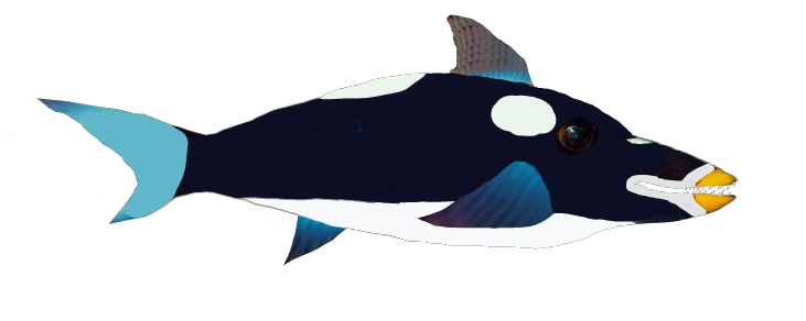 Shrigger | Novum Terram Wiki | Fandom