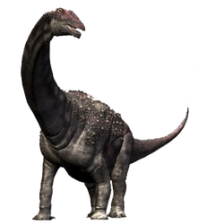Saltasaurus V1 (SciiFii) | Novum Terram Wiki | Fandom