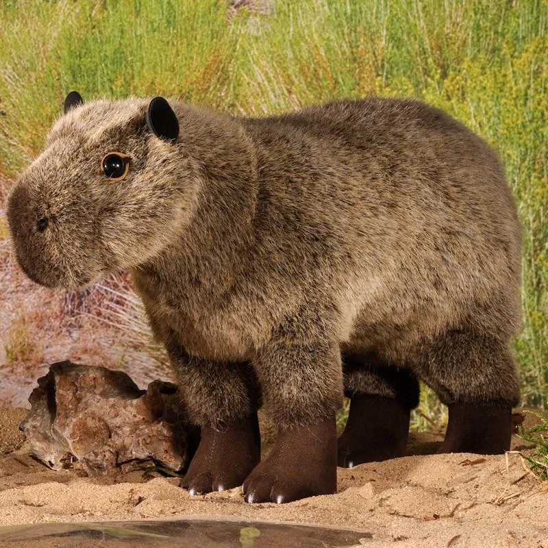 Capybara Bear | Novum Terram Wiki | Fandom