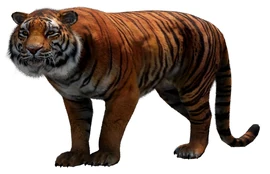 Crowned tiger (Project Apex) | Novum Terram Wiki | Fandom