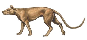 Cynohound (Project Apex) | Novum Terram Wiki | Fandom