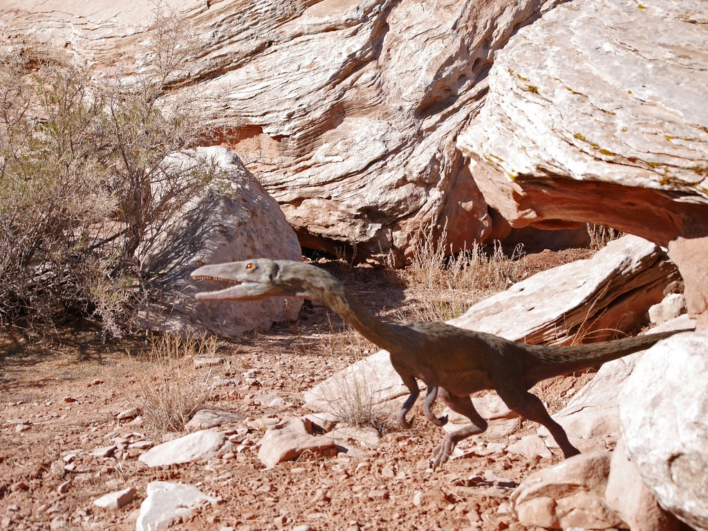 Camposaurus arizonensis (BioGen) | Novum Terram Wiki | Fandom