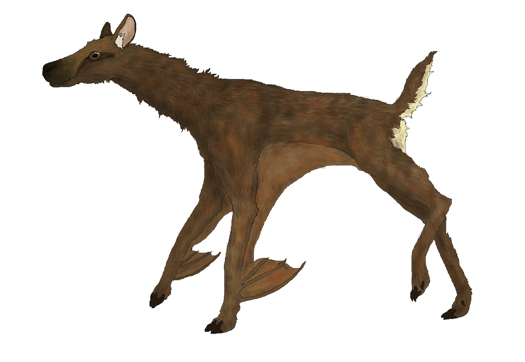 Moa (Project: Mammalia) | Novum Terram Wiki | Fandom