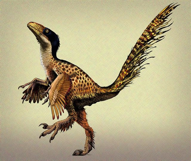 Linheraptor (Dino world) | Novum Terram Wiki | Fandom