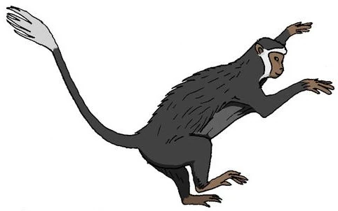 Gliding monkey (SciiFii) | Novum Terram Wiki | Fandom