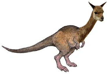 Ratite (Project: Mammalia) | Novum Terram Wiki | Fandom