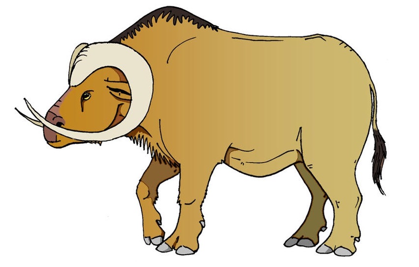 Buffalo Sheep Sciifii Novum Terram Wiki Fandom