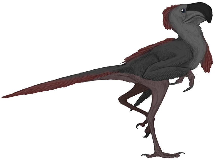 Crowman (SciiFii) | Novum Terram Wiki | Fandom