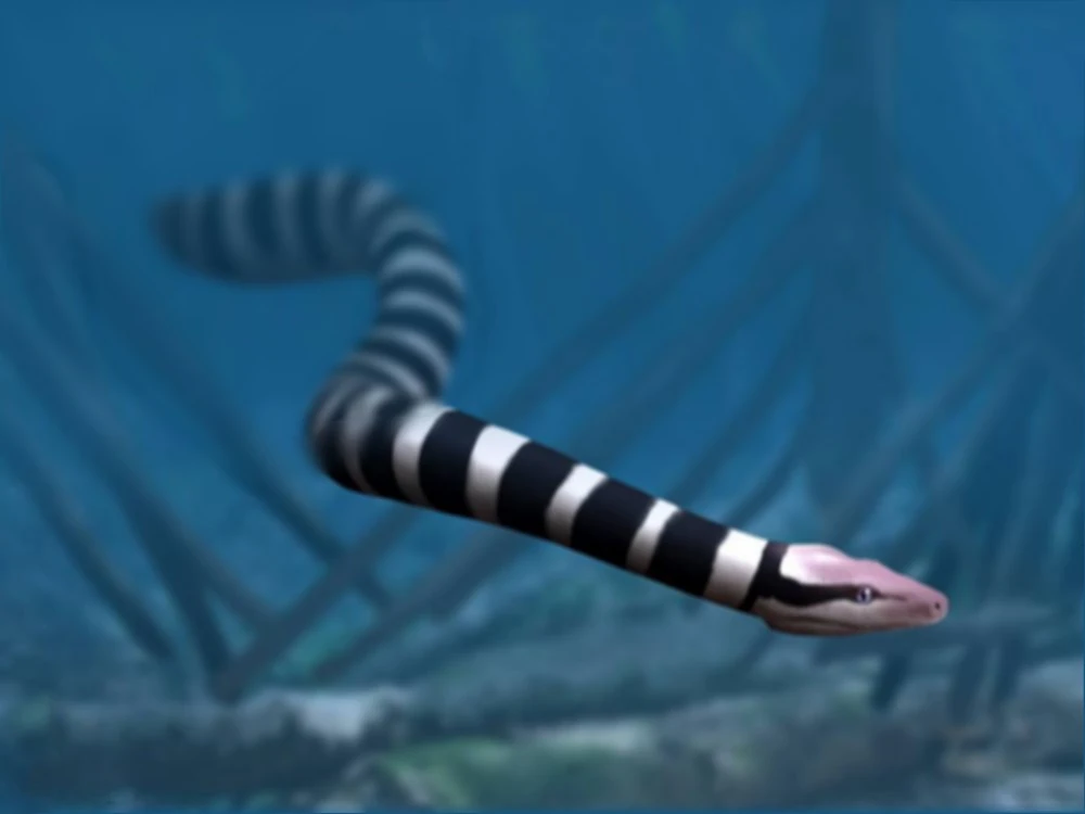 Palaeophis (SciiFii) | Novum Terram Wiki | Fandom