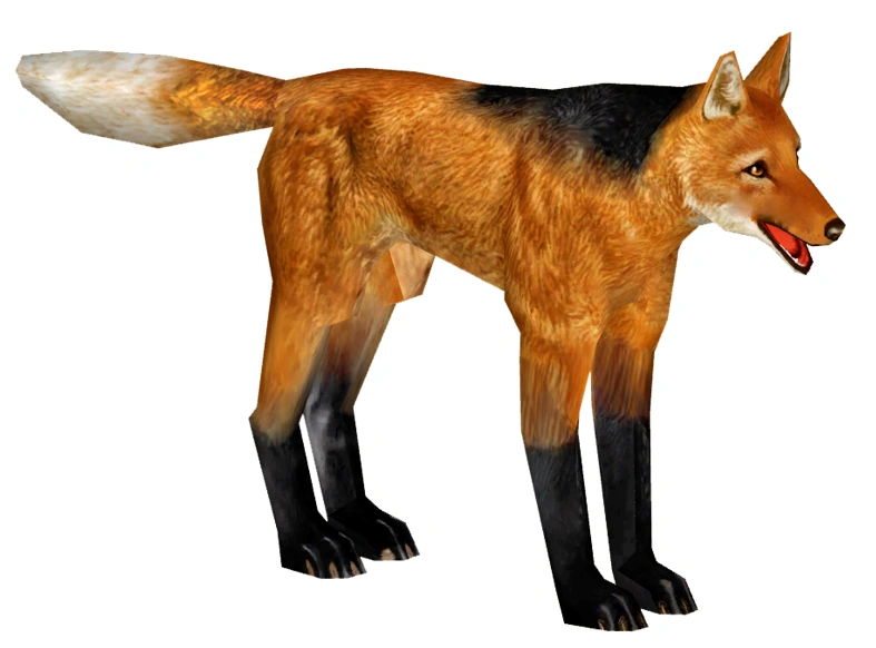 False maned wolf (SciiFii) | Novum Terram Wiki | Fandom