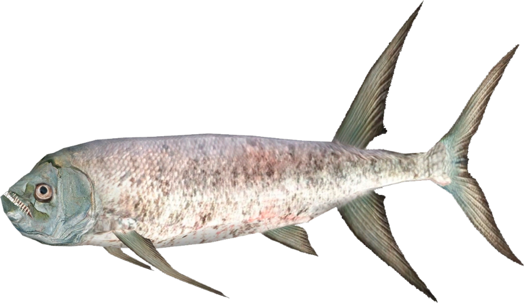 Gillicus (SciiFii) | Novum Terram Wiki | Fandom