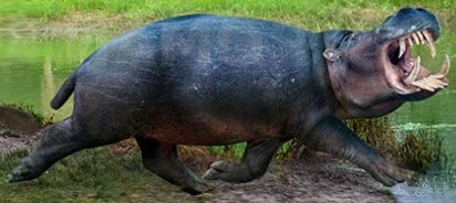 Hexaprotodon sivalensis (SciiFii) | Novum Terram Wiki | Fandom