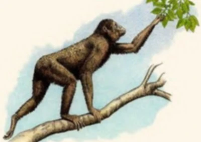 Kenyapithecus (SciiFii) | Novum Terram Wiki | Fandom