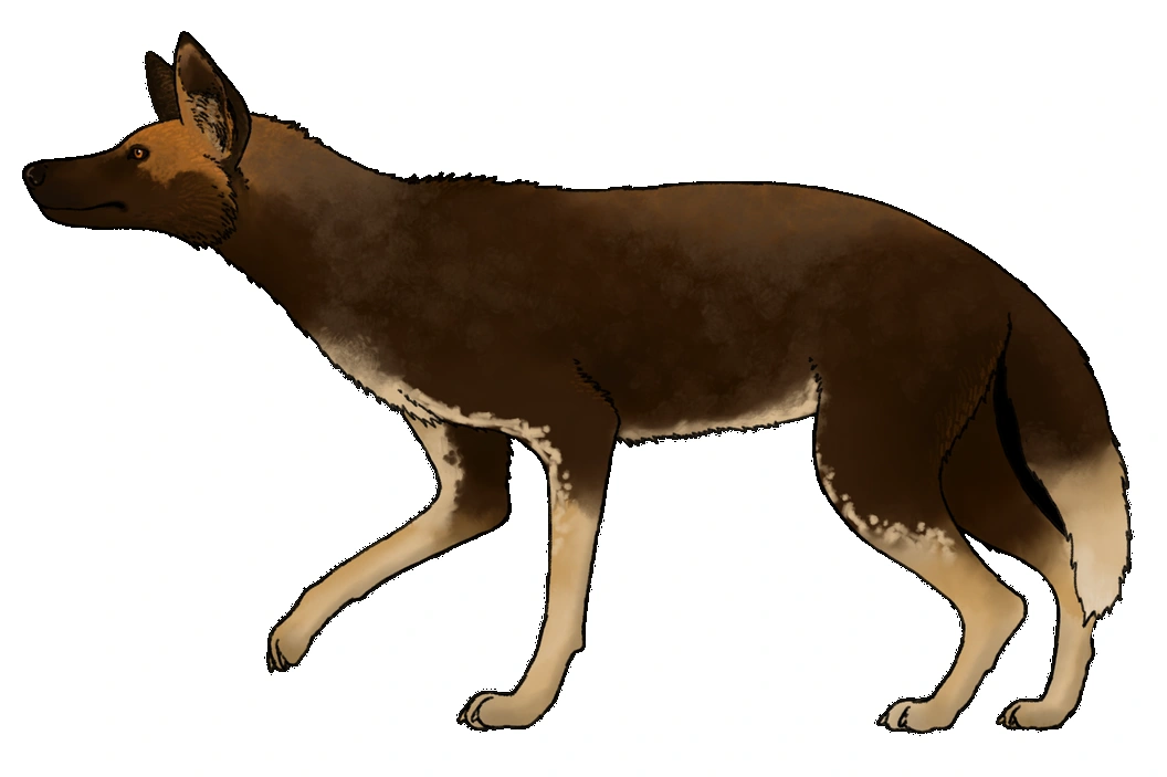 Bush hunting dog (SciiFii) | Novum Terram Wiki | Fandom
