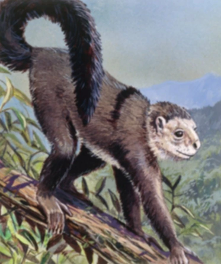 Smilodectes (SciiFii) | Novum Terram Wiki | Fandom