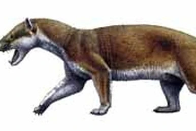 Propleopus Oscillans