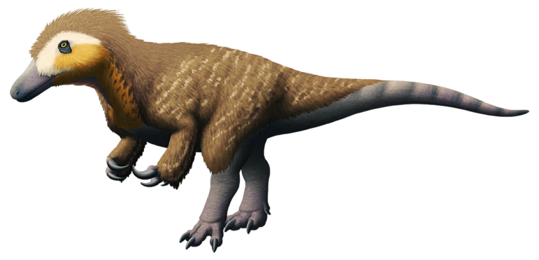 Australovenator