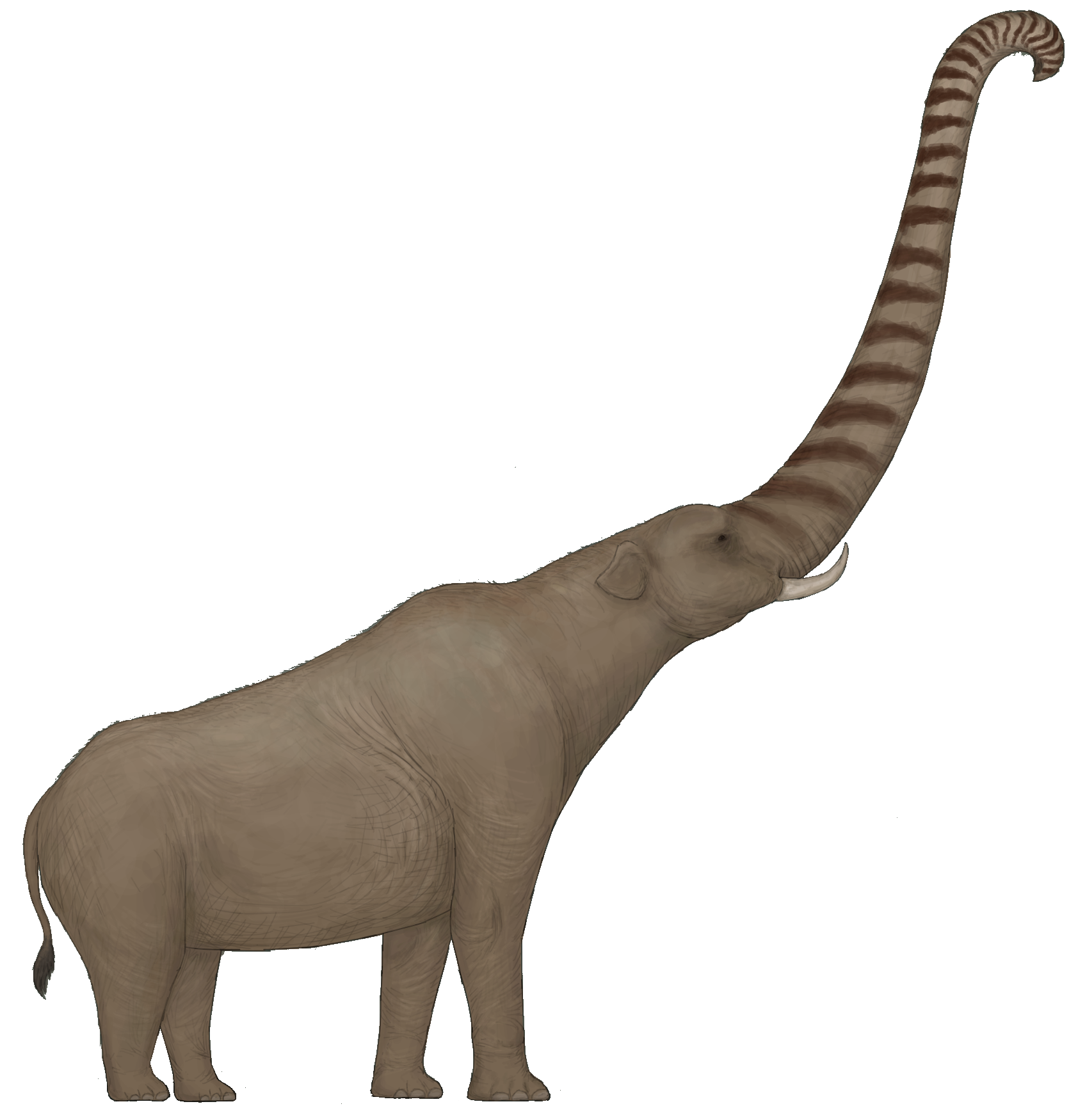 Giraffe Elephant Sciifii Novum Terram Wiki Fandom