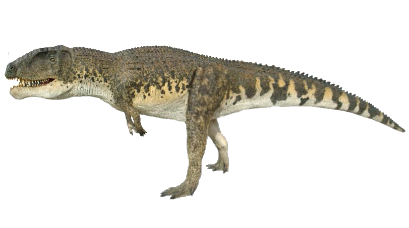 Kasai Rex | Novum Terram Wiki | Fandom